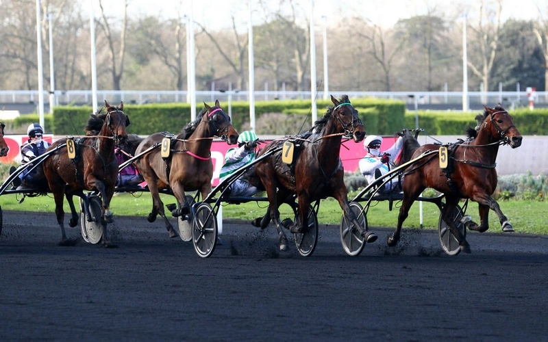 gagner courses de turf