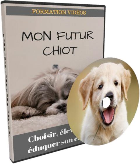savoir acheter mon chiot
